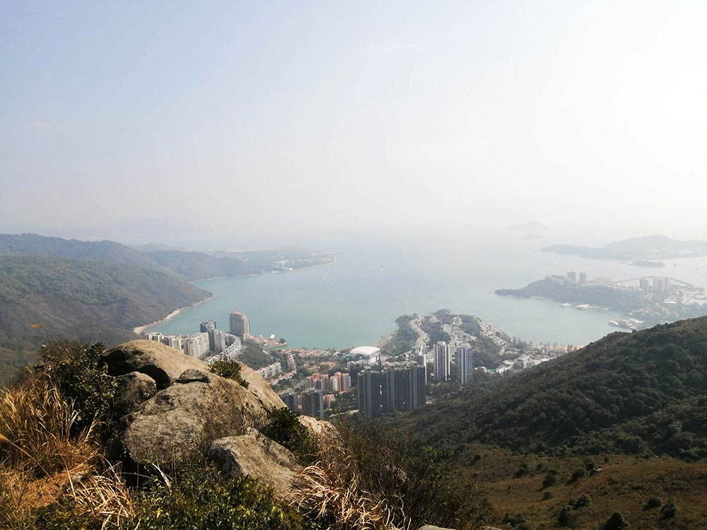 Lo Fu Tau - Jan 2021